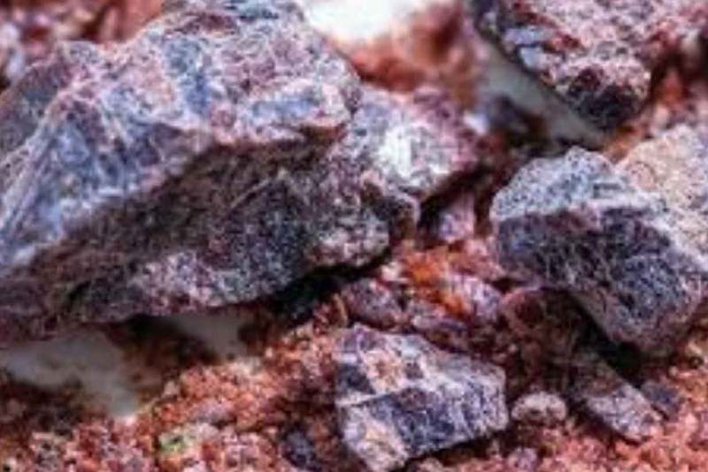 Nepal Health News, 1ˢᵗ Online Health News - Health TV Online